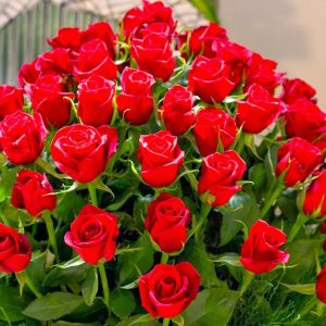 Beautiful Roses With Friendship Quotes